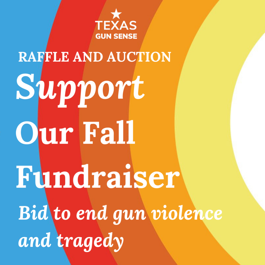 Home - Texas Gun Sense