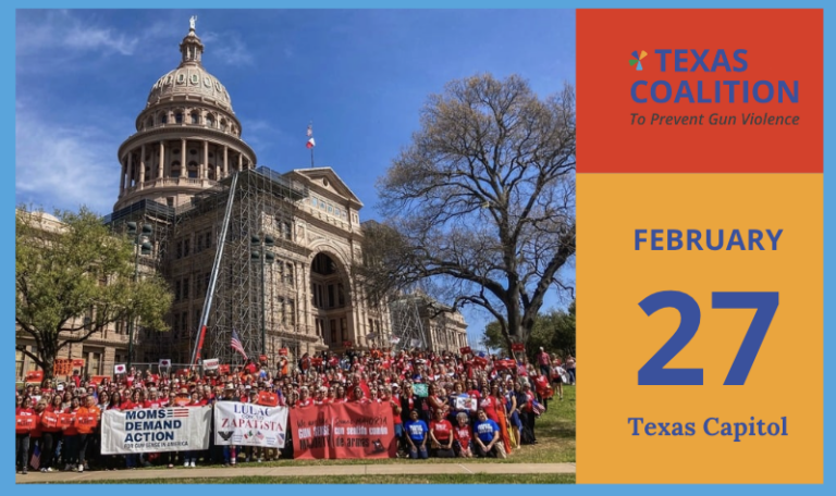 Home - Texas Gun Sense